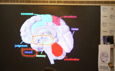 Other Awareness Activities | Mindroot Foundation