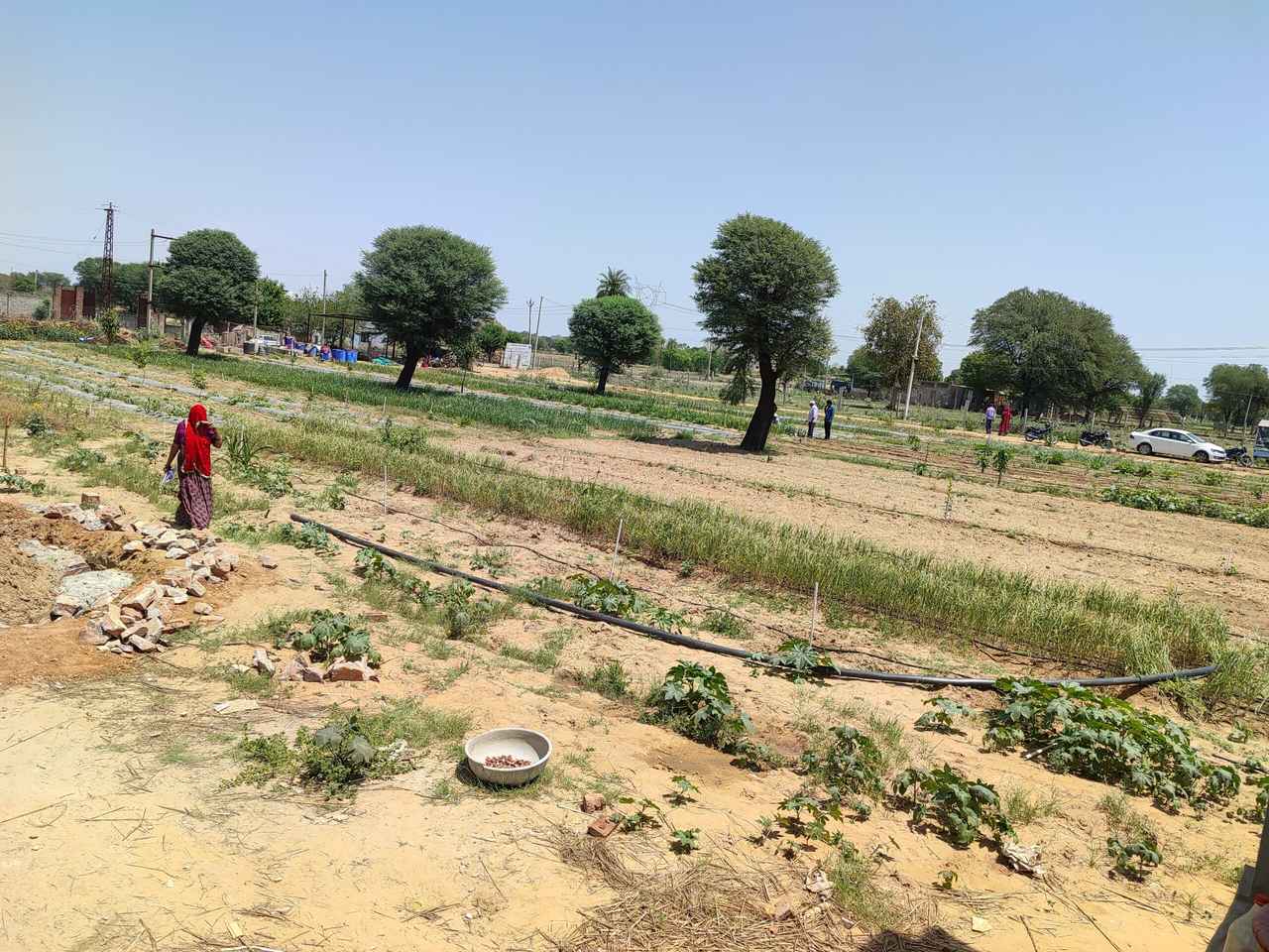 Chopal at Dhodhsar Village | April 2023 | Mindroot Foundation ...